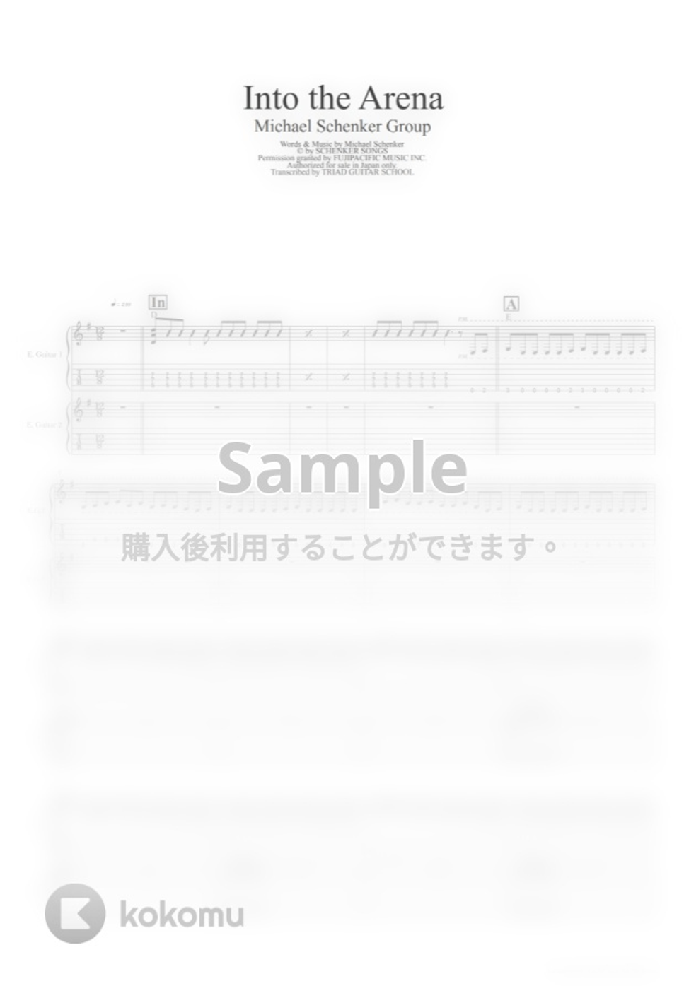 MICHAEL SCHENKER GROUP - INTO THE ARENA (ギタースコア・コード付き) by TRIAD GUITAR ...