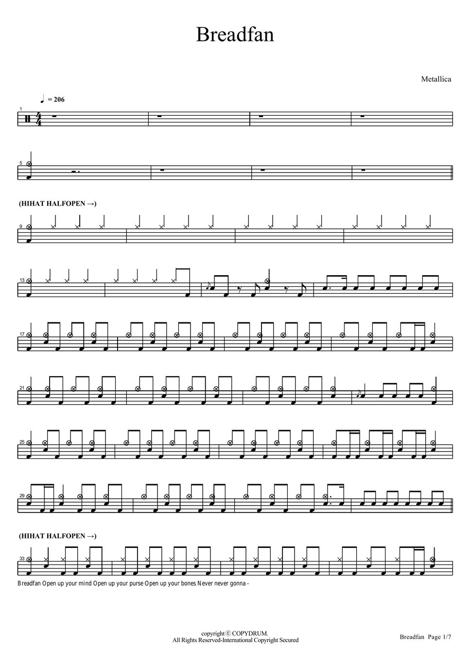 Metallica - Breadfan Sheets by COPYDRUM
