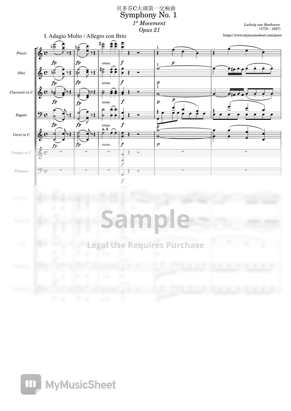 Beethoven - Beethoven Symphony No.1 in C major Op.21 1st movement 贝多芬 C ...