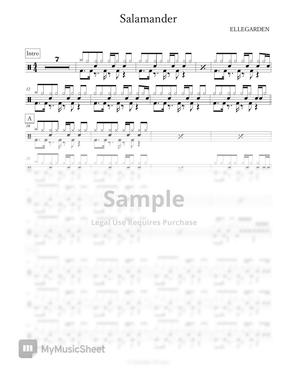 ELLEGARDEN - Salamander Sheets by Arkadia Drums