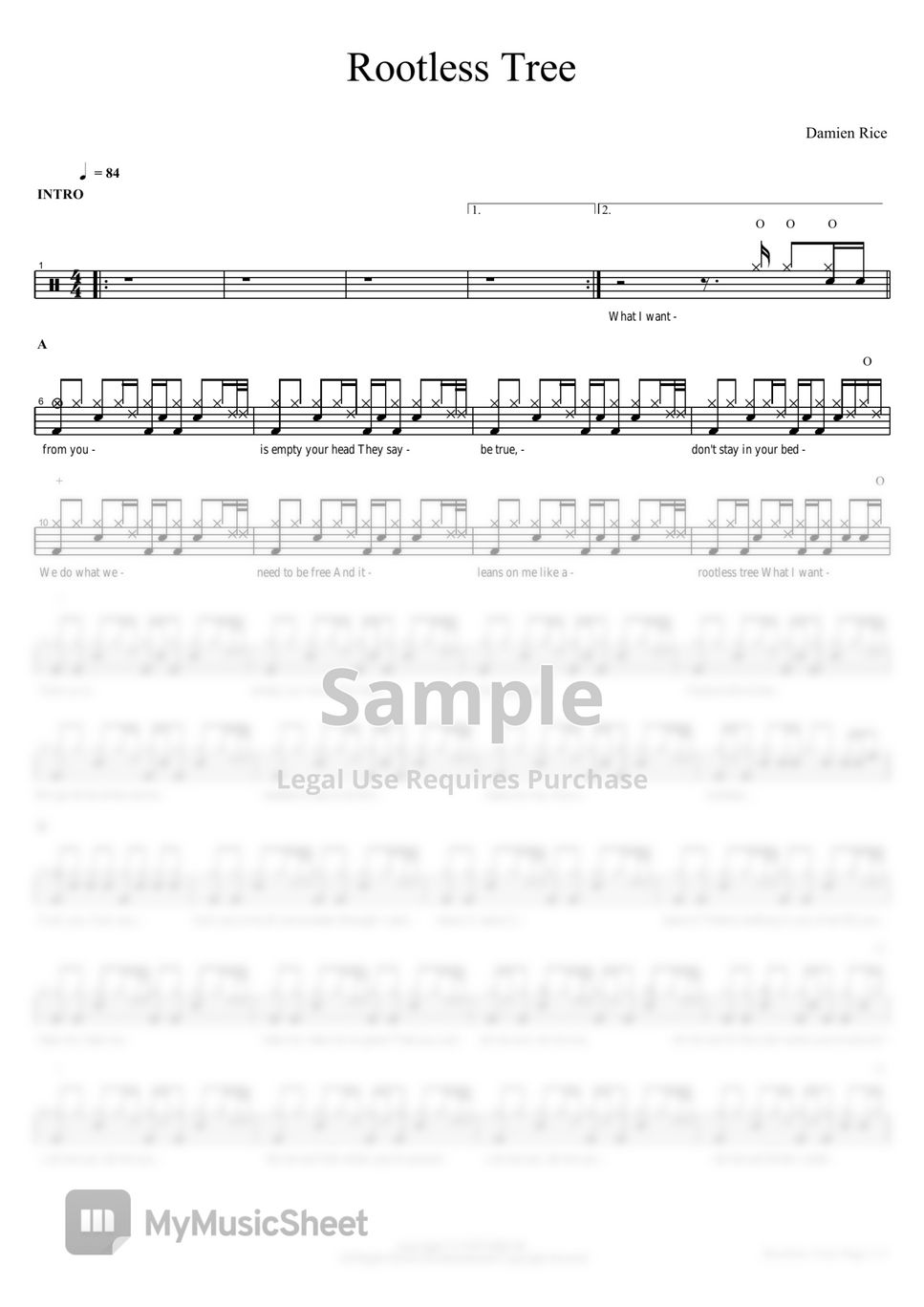 Damien Rice - Rootless Tree Sheets by COPYDRUM