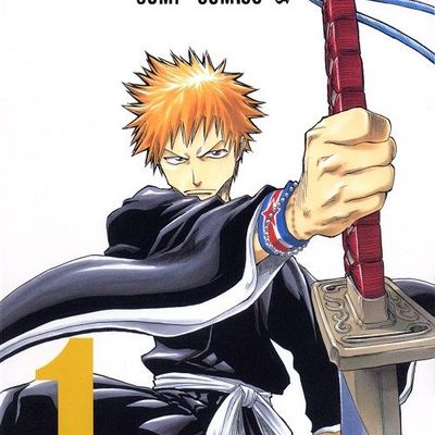 BLEACH Sheet