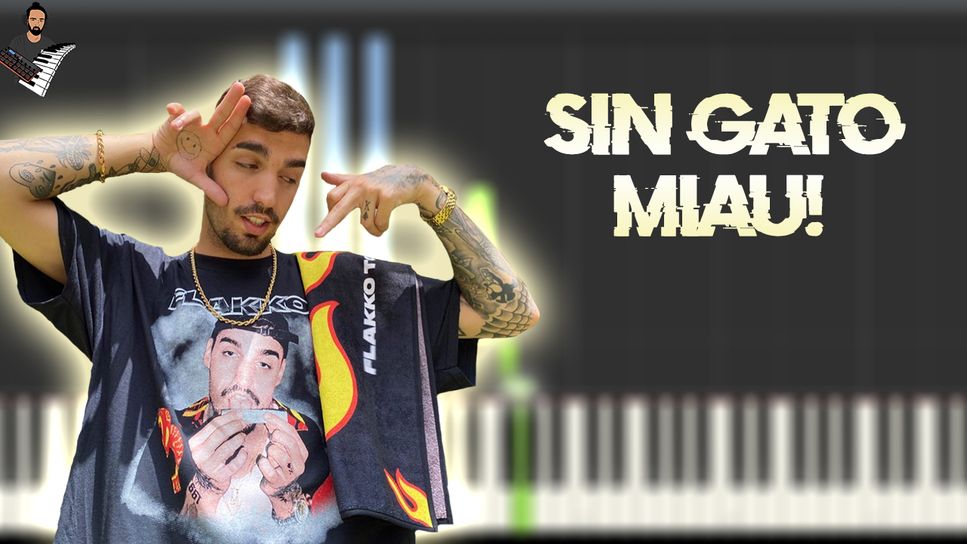 Rels B - Sin Gato (MIAU!) Trumpet In Bb โน้ตเพลง PDF | mymusic5