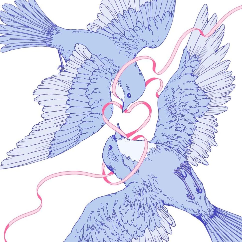 Bibi 비비 행복에게 Bluebird Kor 리드시트 코드 한글가사 Sheets By Sol Writes