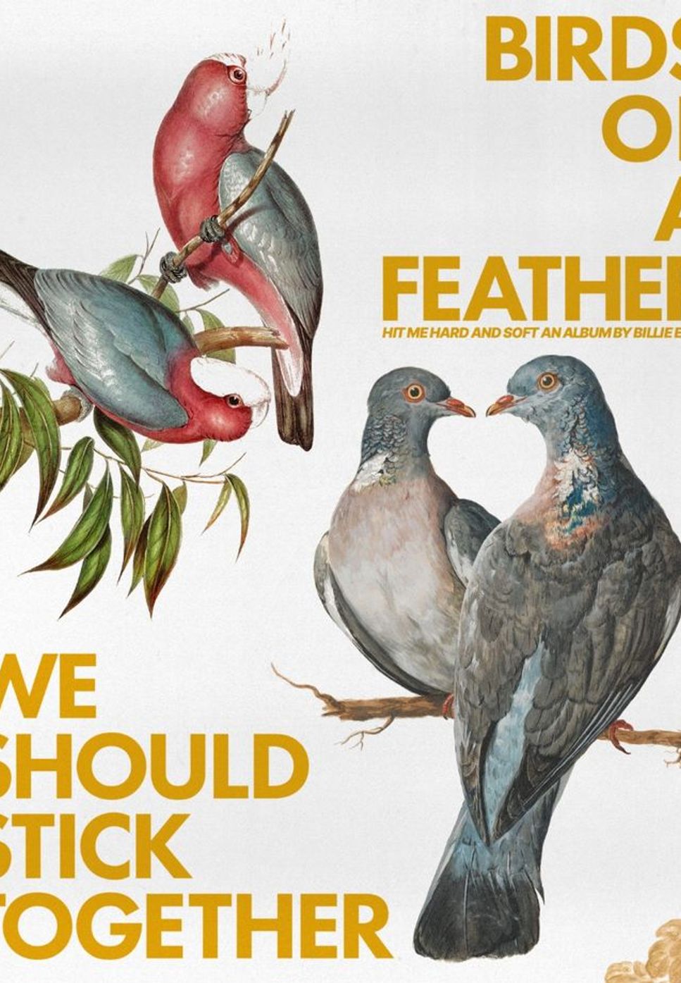 Billie Ellish - Birds of Feather Sheet Music by Alona Mylanych