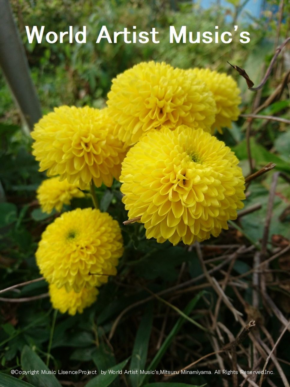 嵐 - BEAURIFUL DAYS (作詞：Takuya Harada. 作曲：Takuya Harada.) 楽譜 by Mitsuru ...