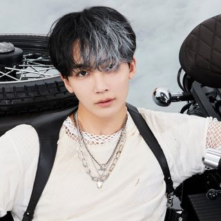 Jeong Han (SEVENTEEN) Sheets