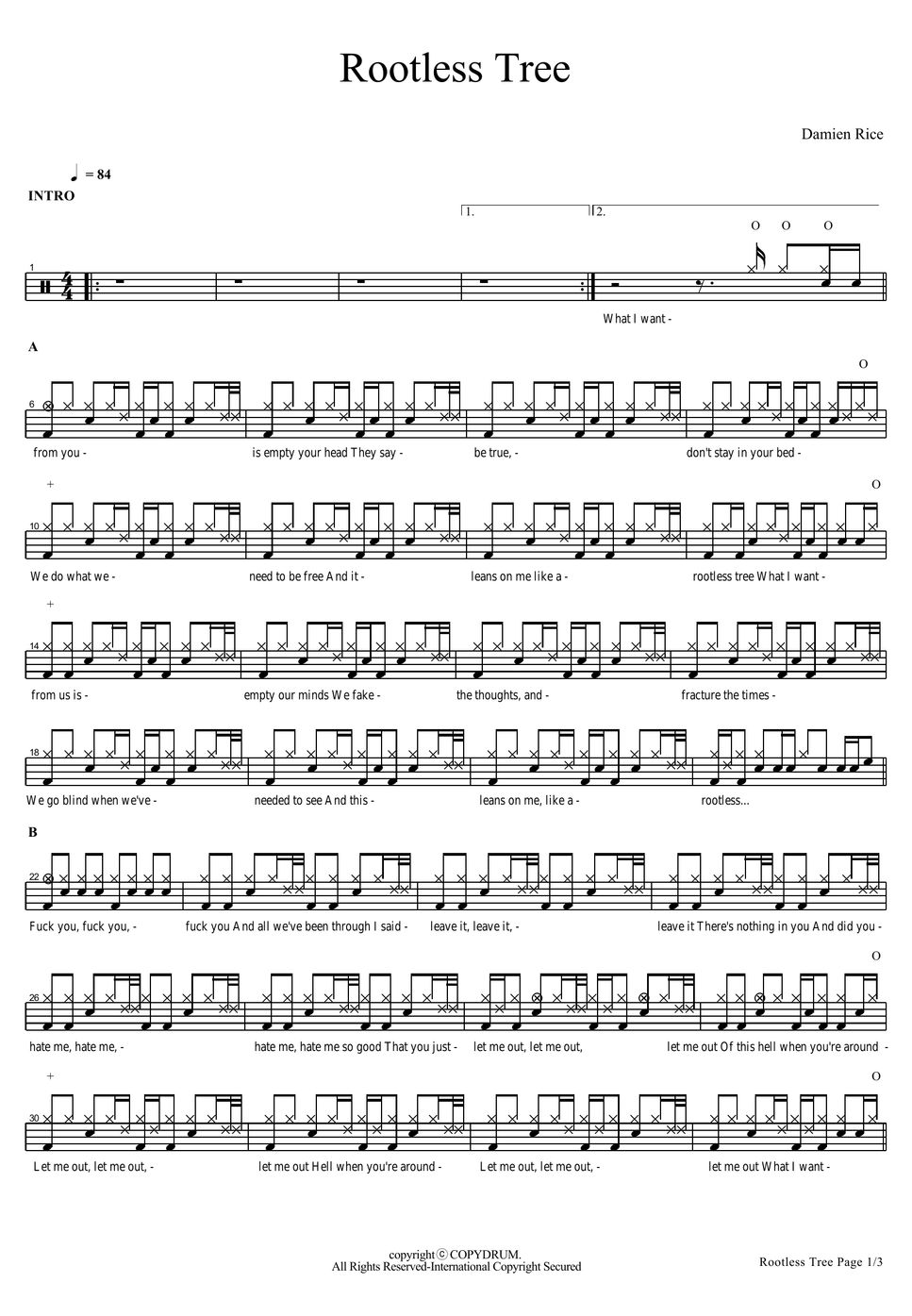 Damien Rice - Rootless Tree Sheet by COPYDRUM